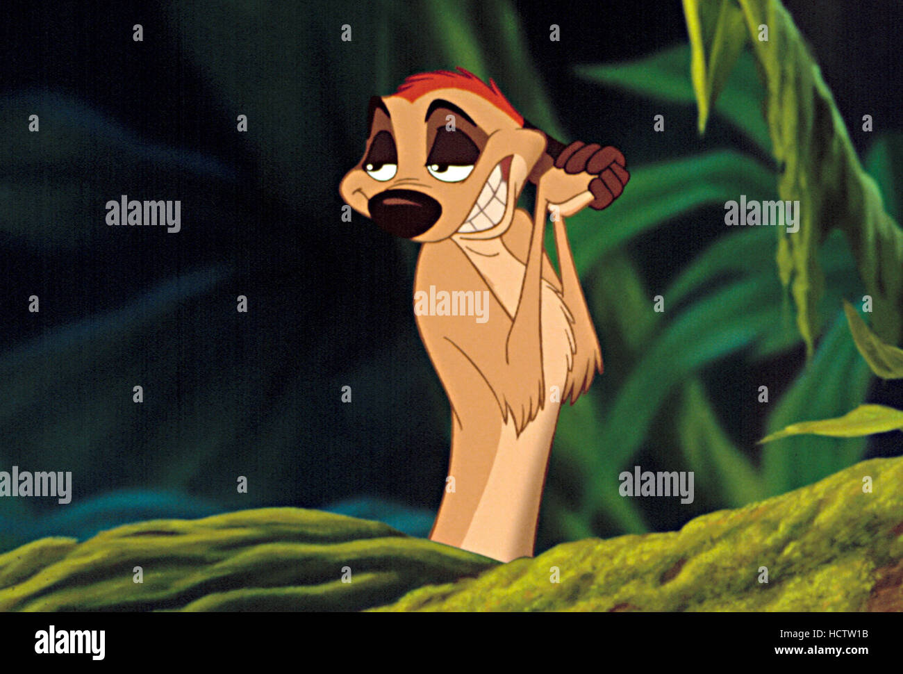 THE LION KING, Timon, 1994. ©Buena Vista Pictures/Courtesy Everett ...