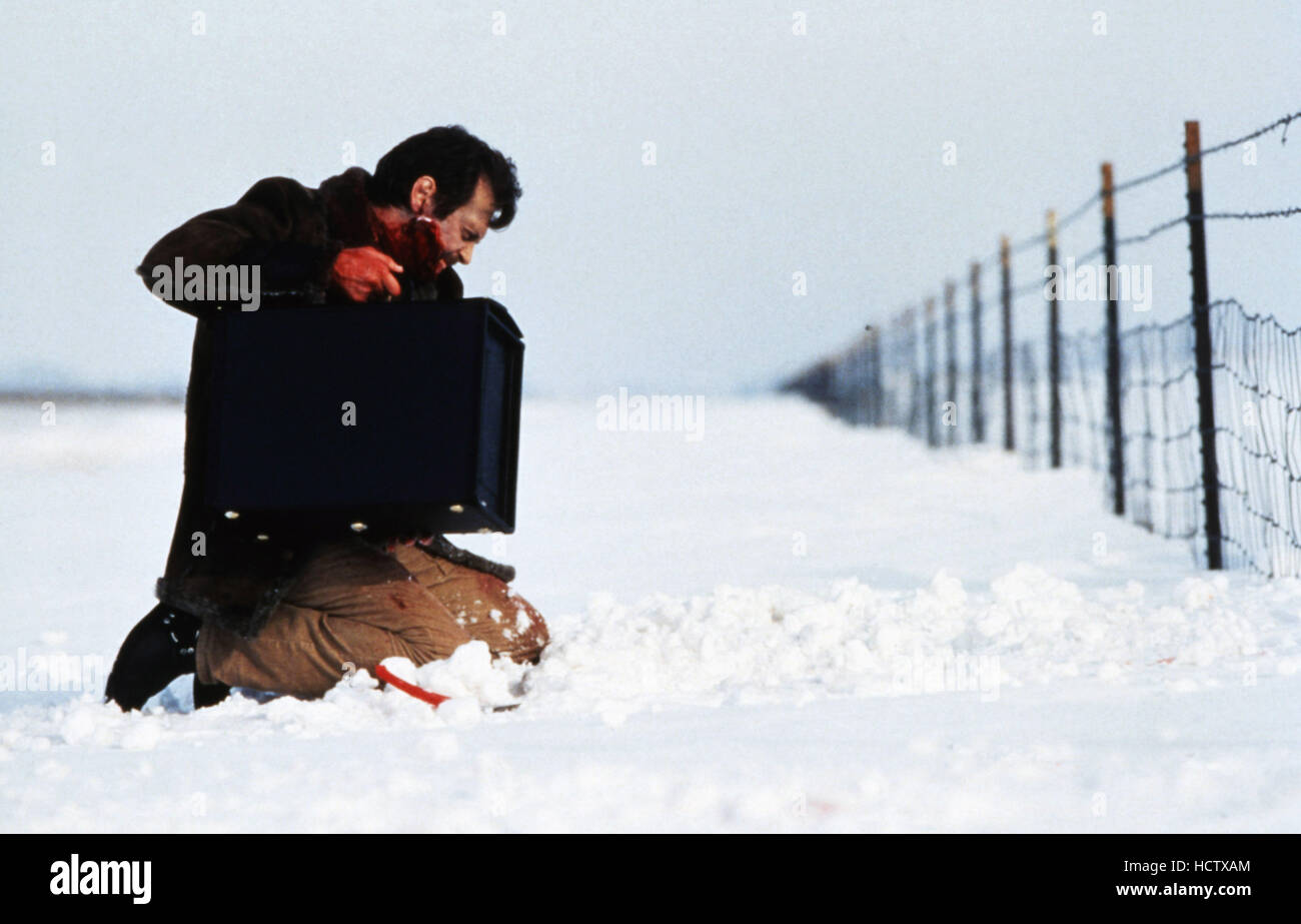 FARGO, Steve Buscemi, 1996, (c) Gramercy Pictures/courtesy Everett ...
