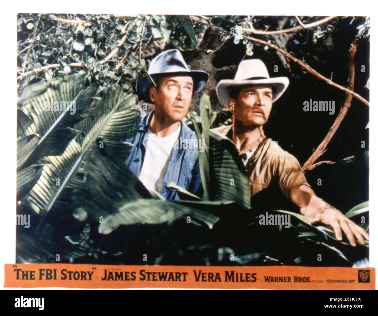 THE FBI STORY, James Stewart, Larry Pennell, 1959 Stock Photo - Alamy