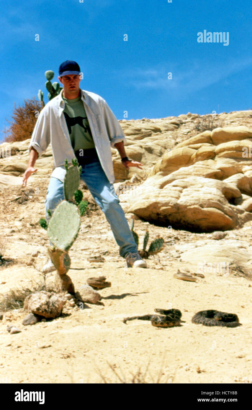 FOOLS RUSH IN, Matthew Perry, 1997, (c)Columbia Pictures/courtesy ...