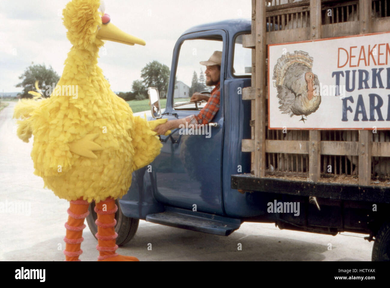 FOLLOW THAT BIRD, (aka SESAME STREET PRESENTS FOLLOW THAT BIRD), Caroll ...