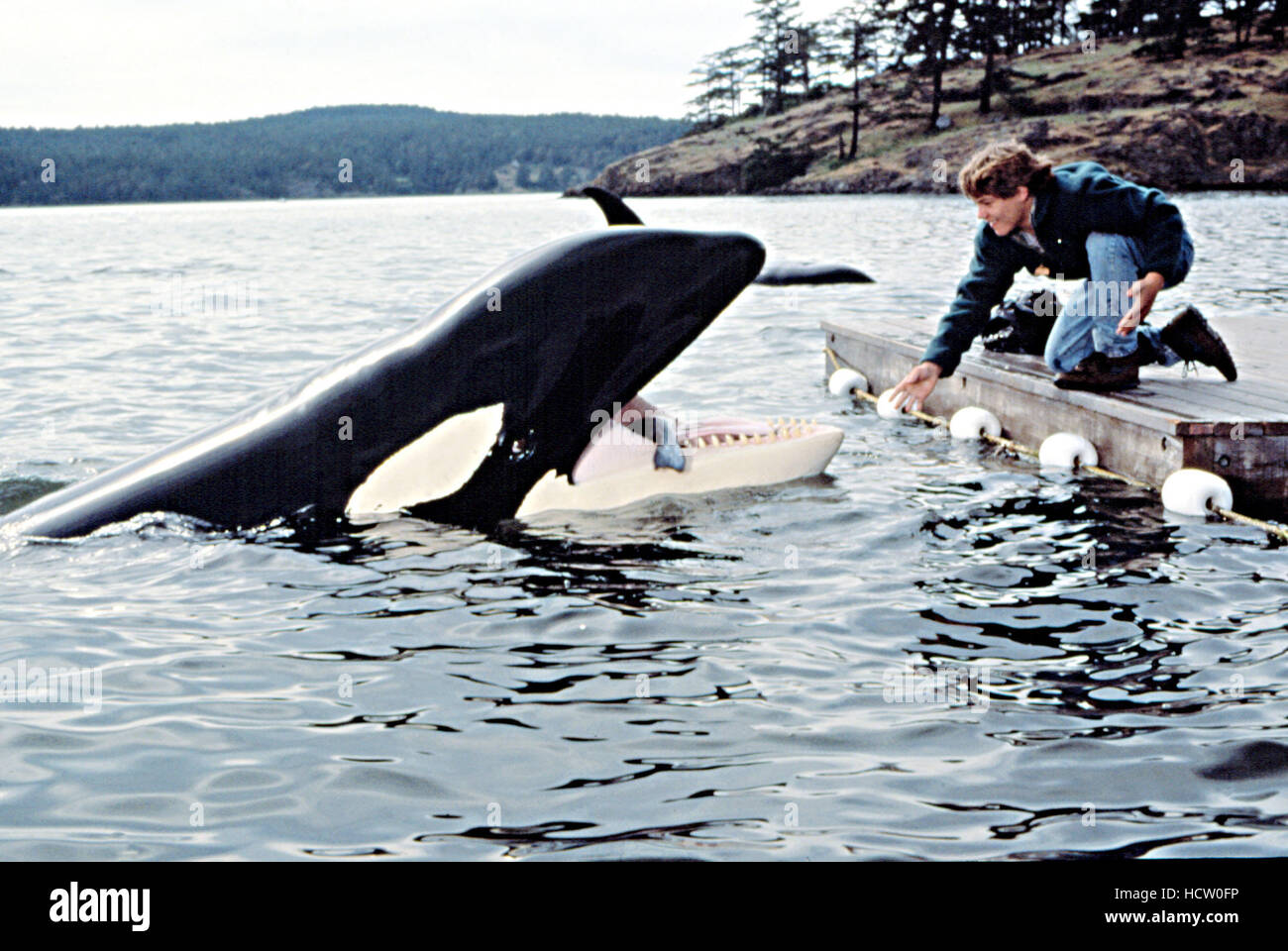 Free Willy The Whale Keiko