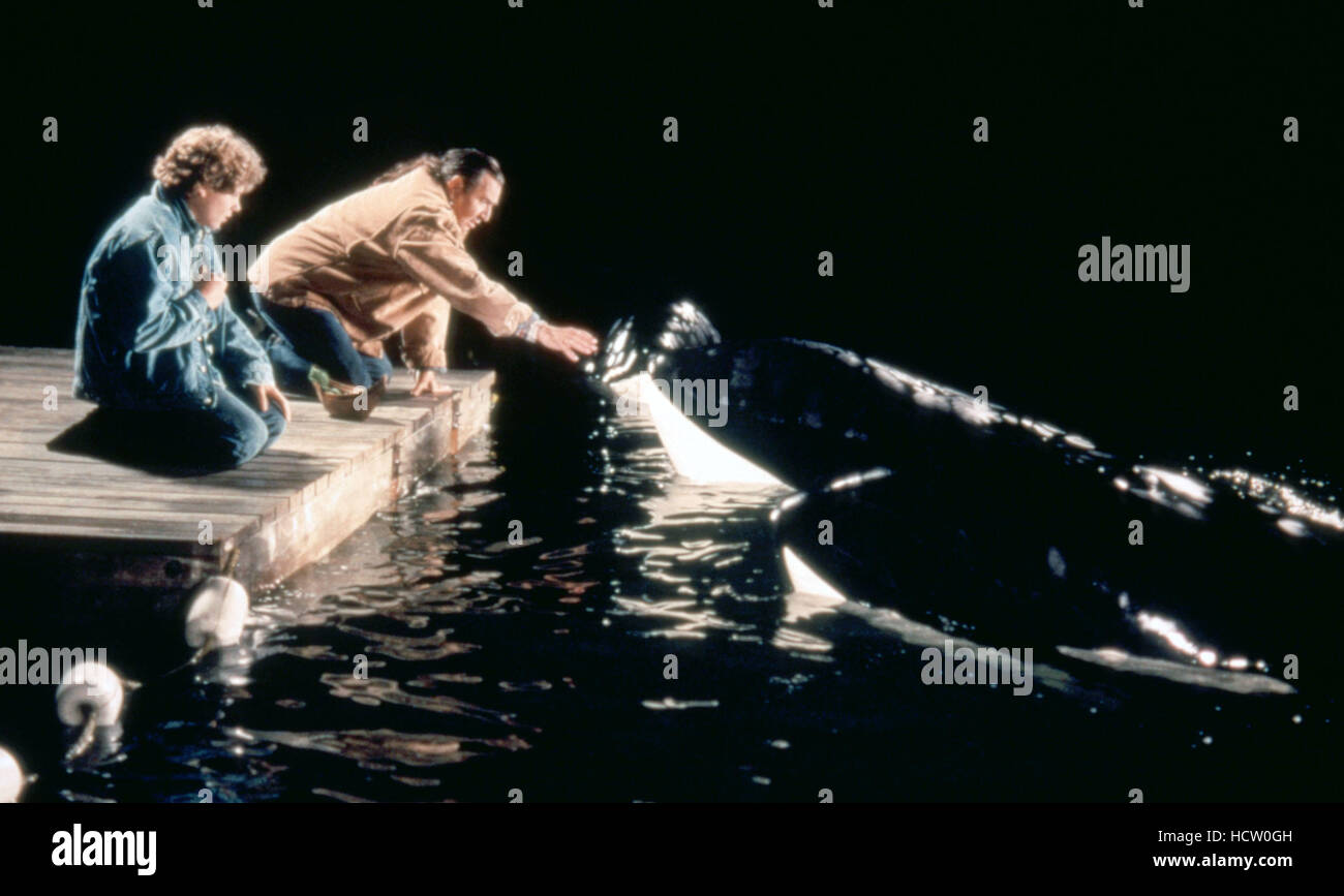 FREE WILLY 2: THE ADVENTURE HOME, Jason James Richter, Michael Madsen ...