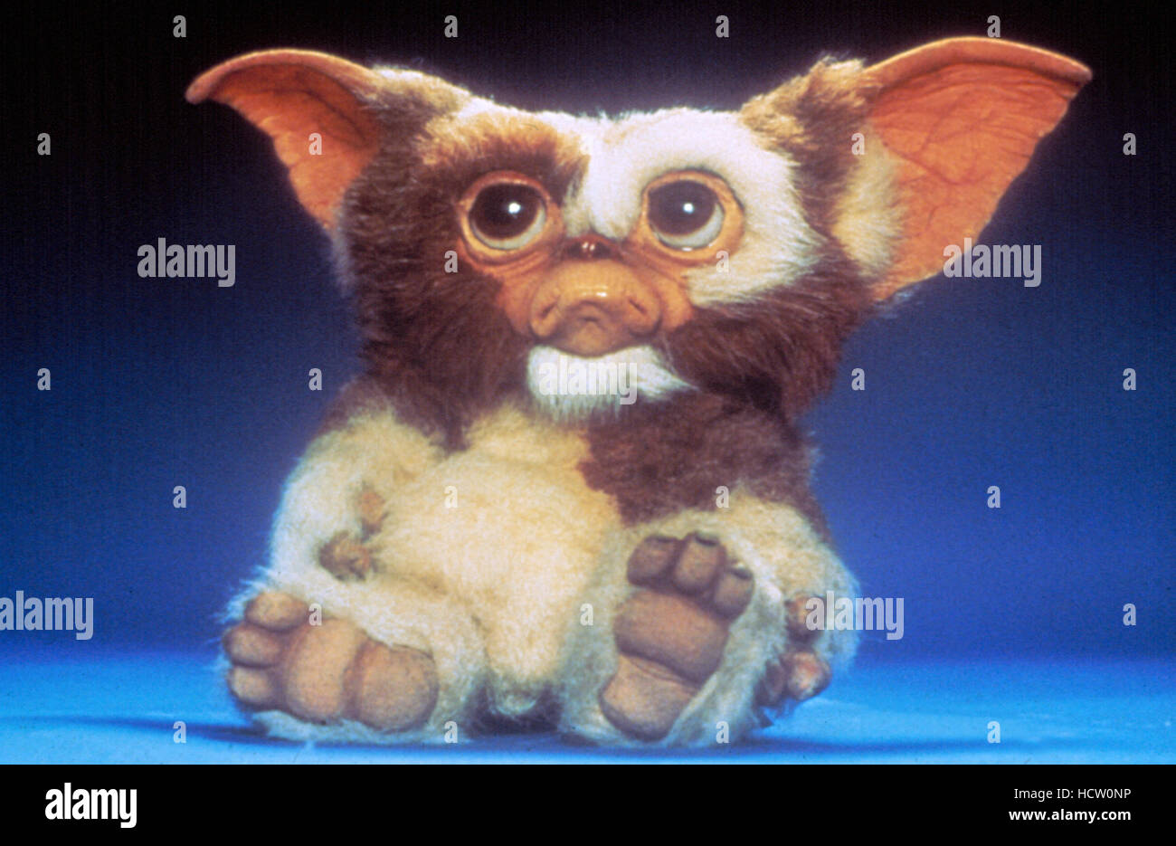 GREMLINS, Gizmo, 1984, (c)Warner Bros./courtesy Everett Collection ...