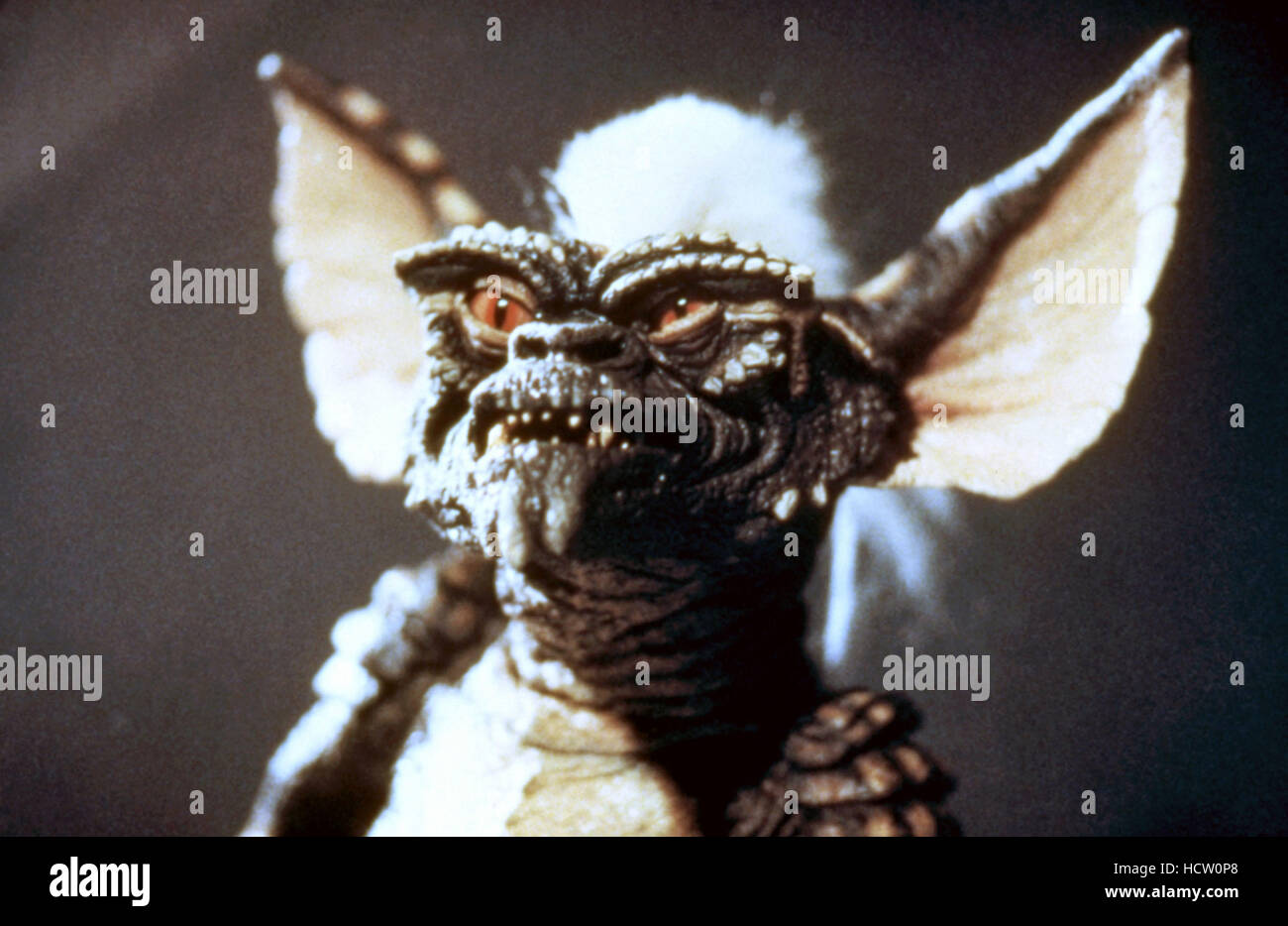 GREMLINS, Stripe, 1984, (c)Warner Bros./courtesy Everett Collection ...