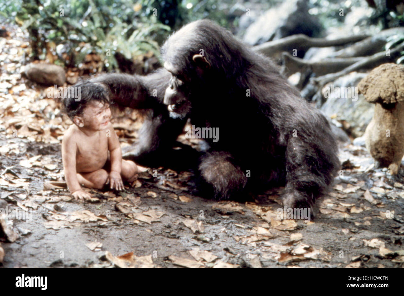 GREYSTOKE: THE LEGEND OF TARZAN LORD OF THE APES, 1984, (c)Warner Bros ...