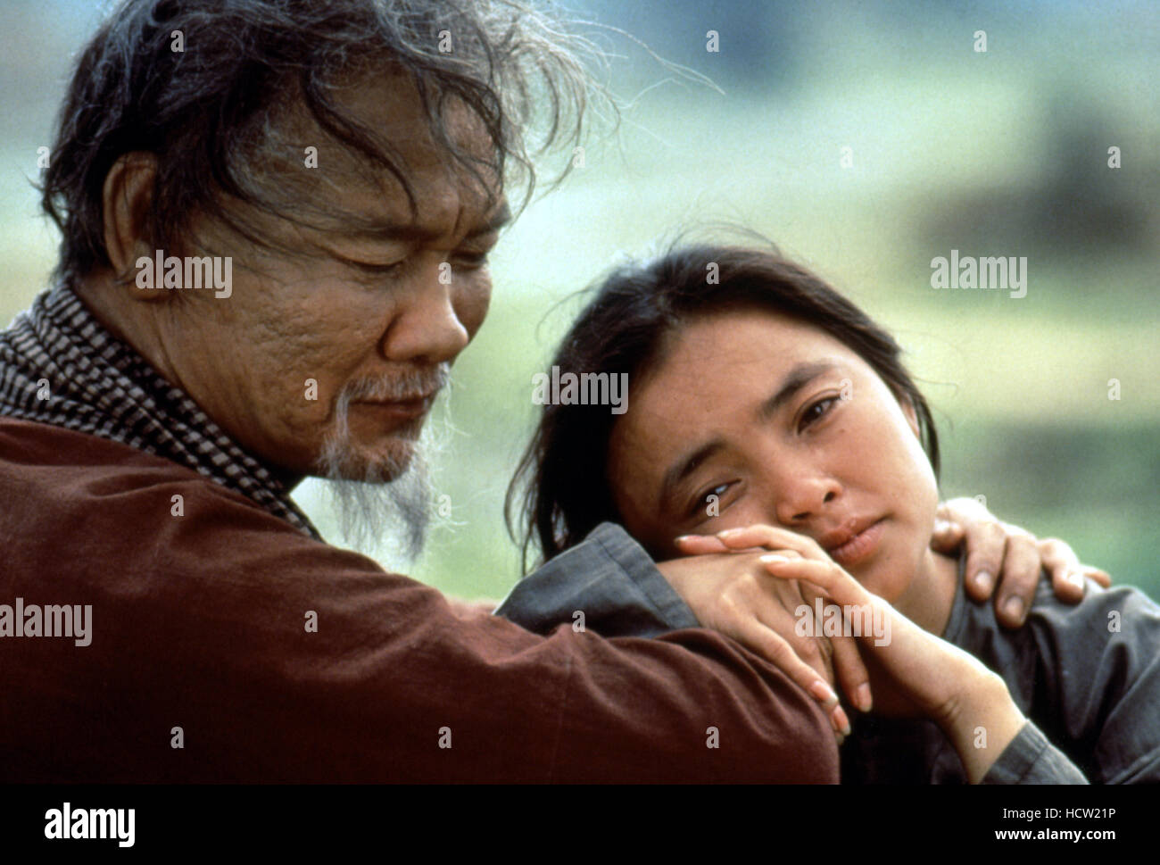 Heaven And Earth Haing Ngor Hiep Thi Le 1993 C Warner Bros