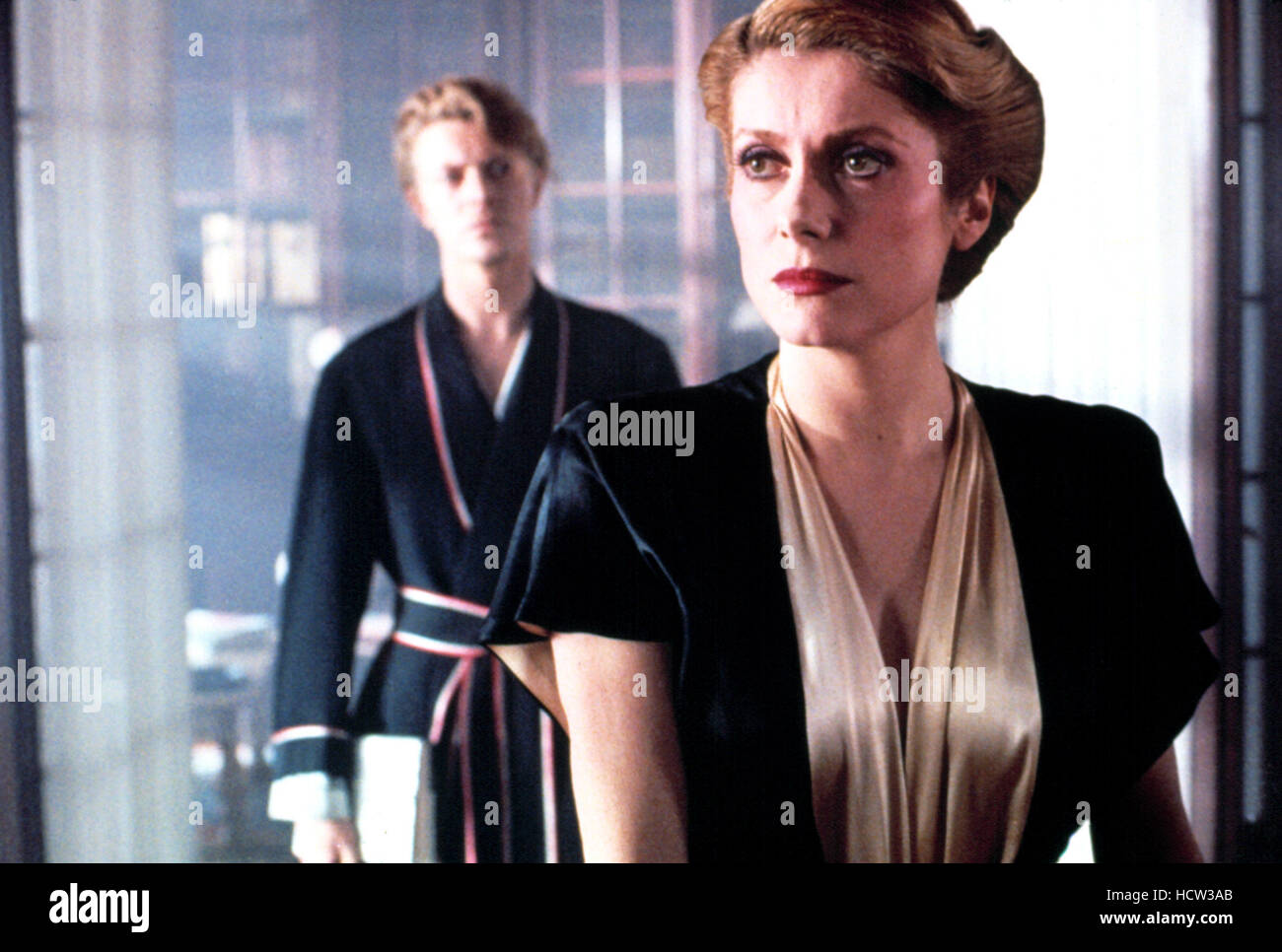 THE HUNGER, David Bowie, Catherine Deneuve, 1983, (c) MGM/courtesy ...