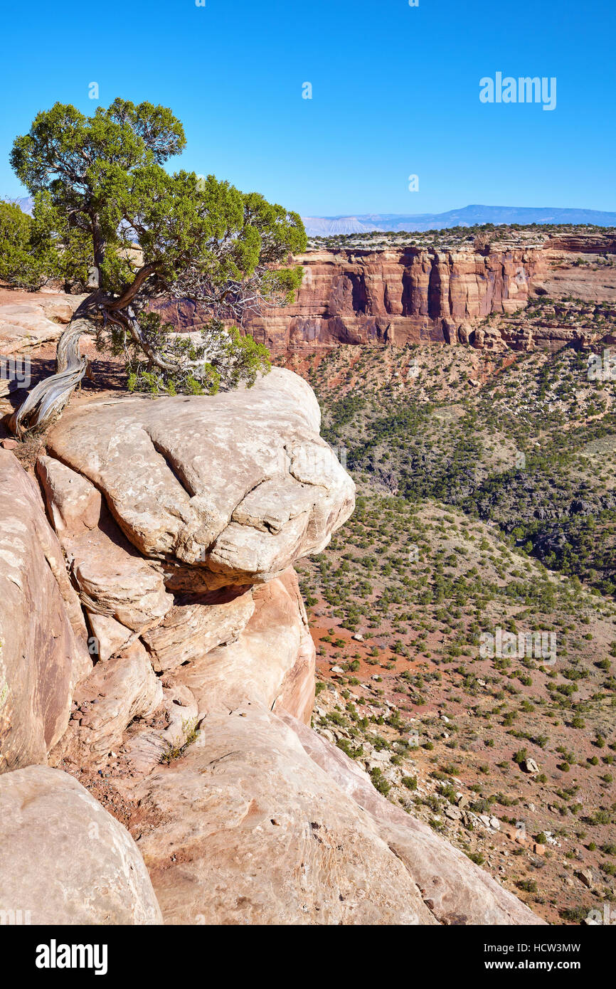 Cliff in the Colorado National Monument canyon, Colorado, USA Stock ...