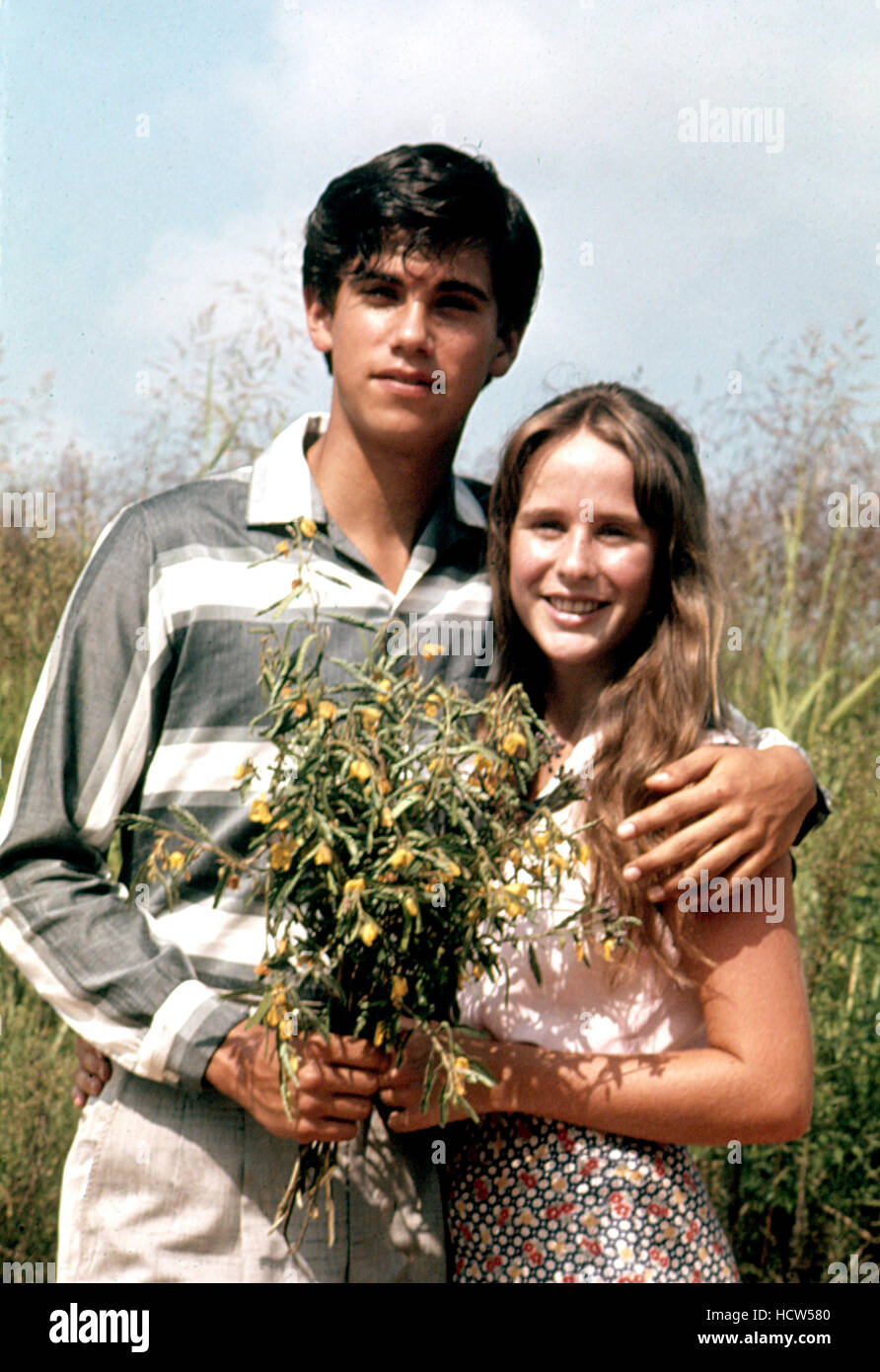 JEREMY, Robby Benson, Glynnis O'Connor, 1973 Stock Photo - Alamy