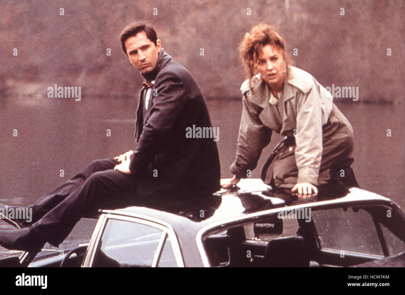 LE ZEBRA, Thierry L'Hermitte, Caroline Cellier, 1992 Stock Photo - Alamy