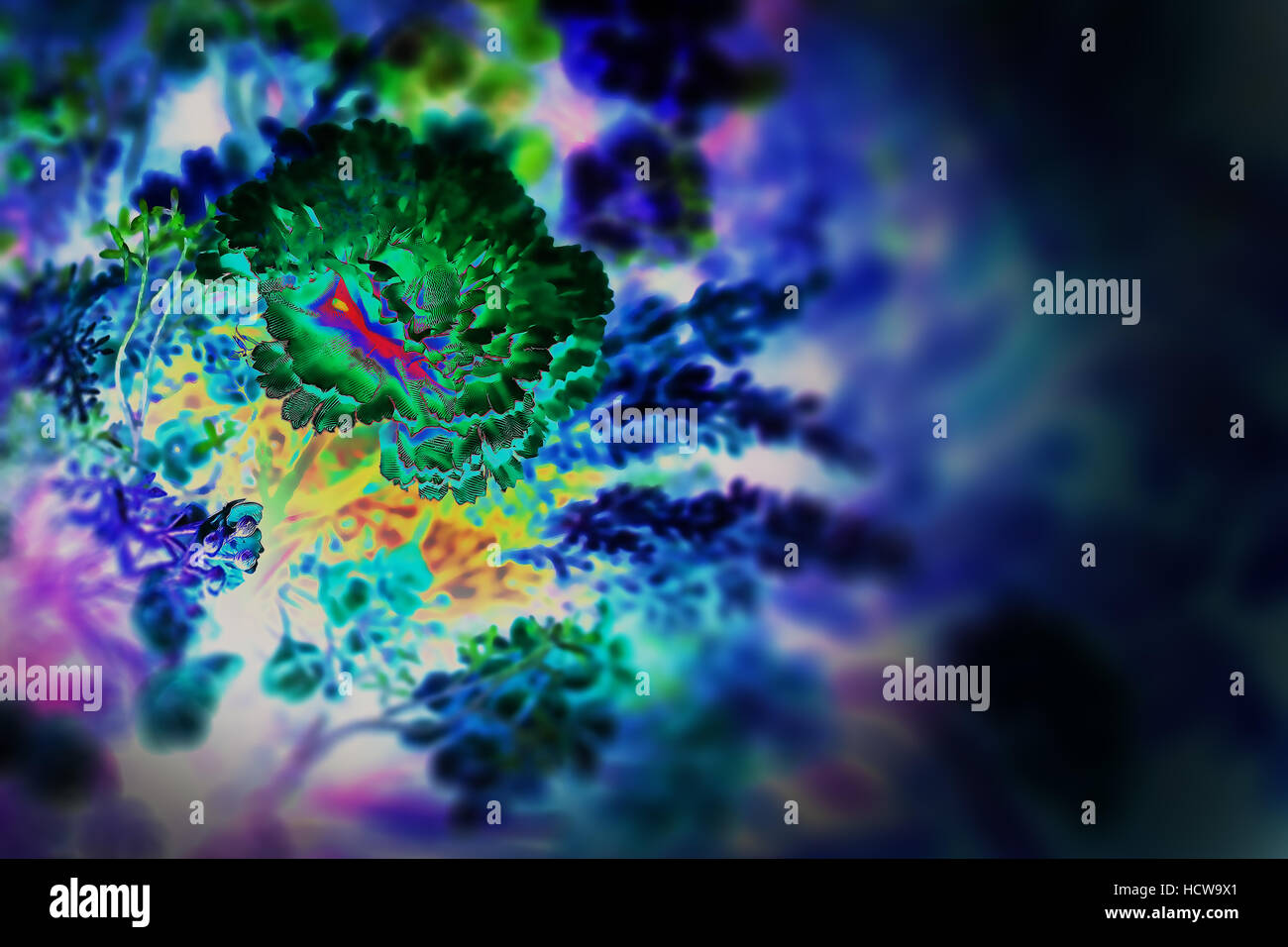 Abstract colorful design with flower. Computer art Stock Photo - Alamy