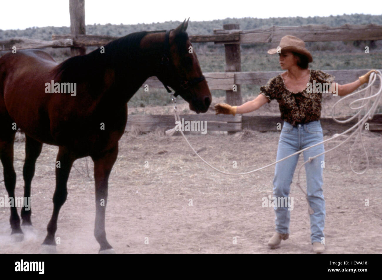 MURPHY'S ROMANCE, Sally Field, 1985. ©Columbia Pictures/courtesy ...