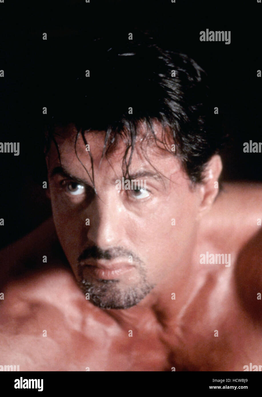 GET CARTER, Sylvester Stallone, 2001. © Warner Bros. / Courtesy ...