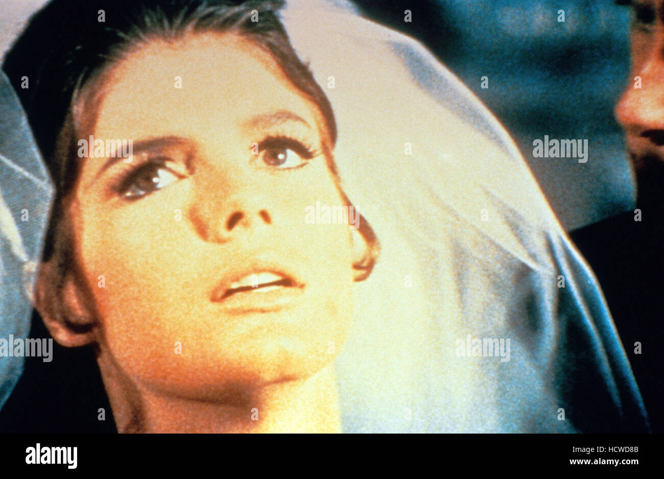 THE GRADUATE, Katharine Ross, 1967 Stock Photo - Alamy