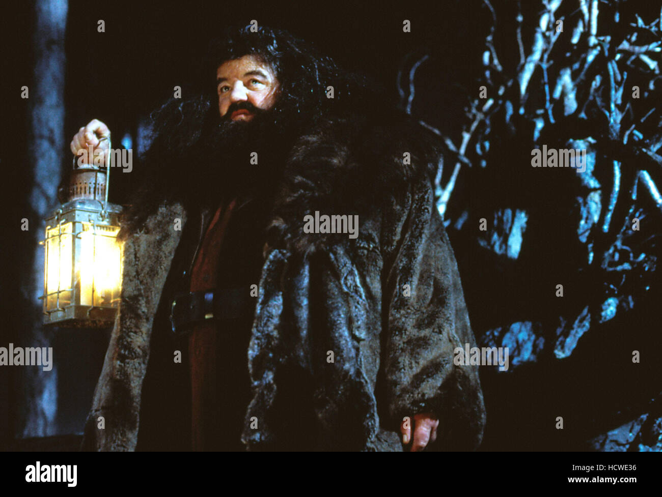 Hagrid robbie coltrane hi-res stock photography and images - Alamy