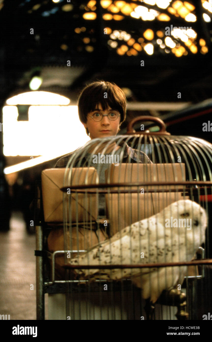 HARRY POTTER AND THE SORCERER'S STONE, Daniel Radcliffe, 2001 Stock ...