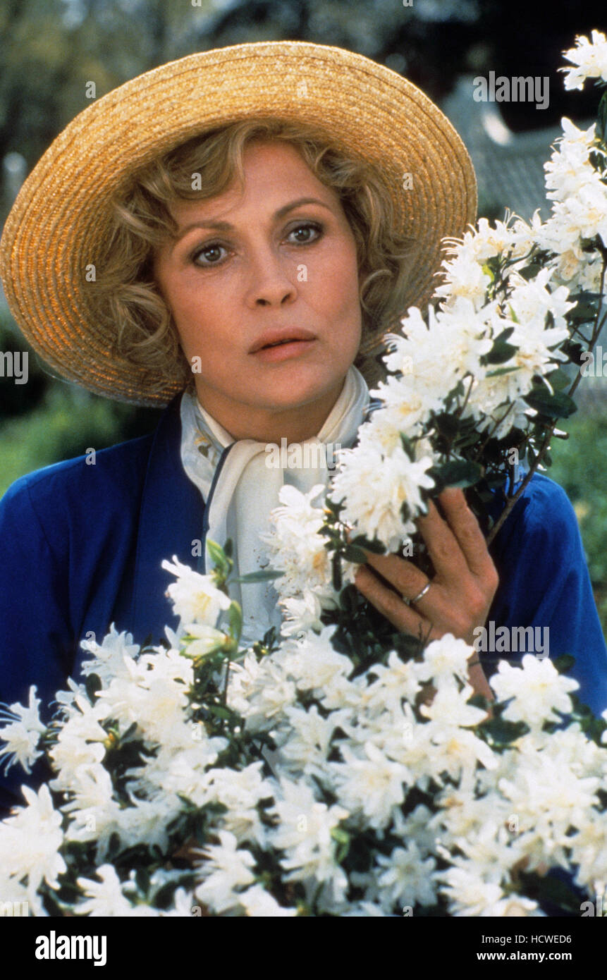 THE HANDMAID'S TALE, Faye Dunaway, 1990, © Cinecom Pictures/courtesy ...