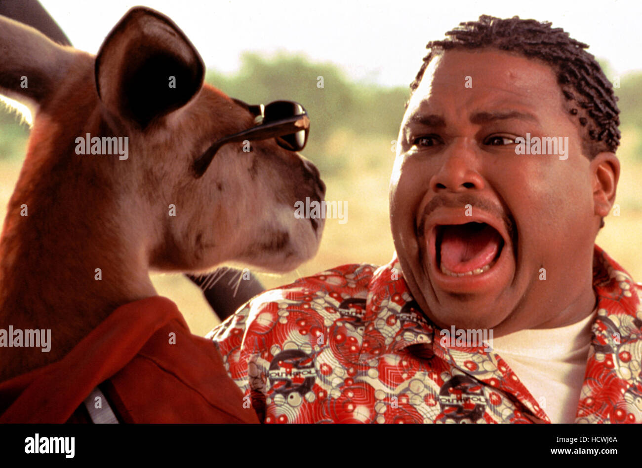 KANGAROO JACK, Anthony Anderson, 2003, (c) Warner Brothers/courtesy ...