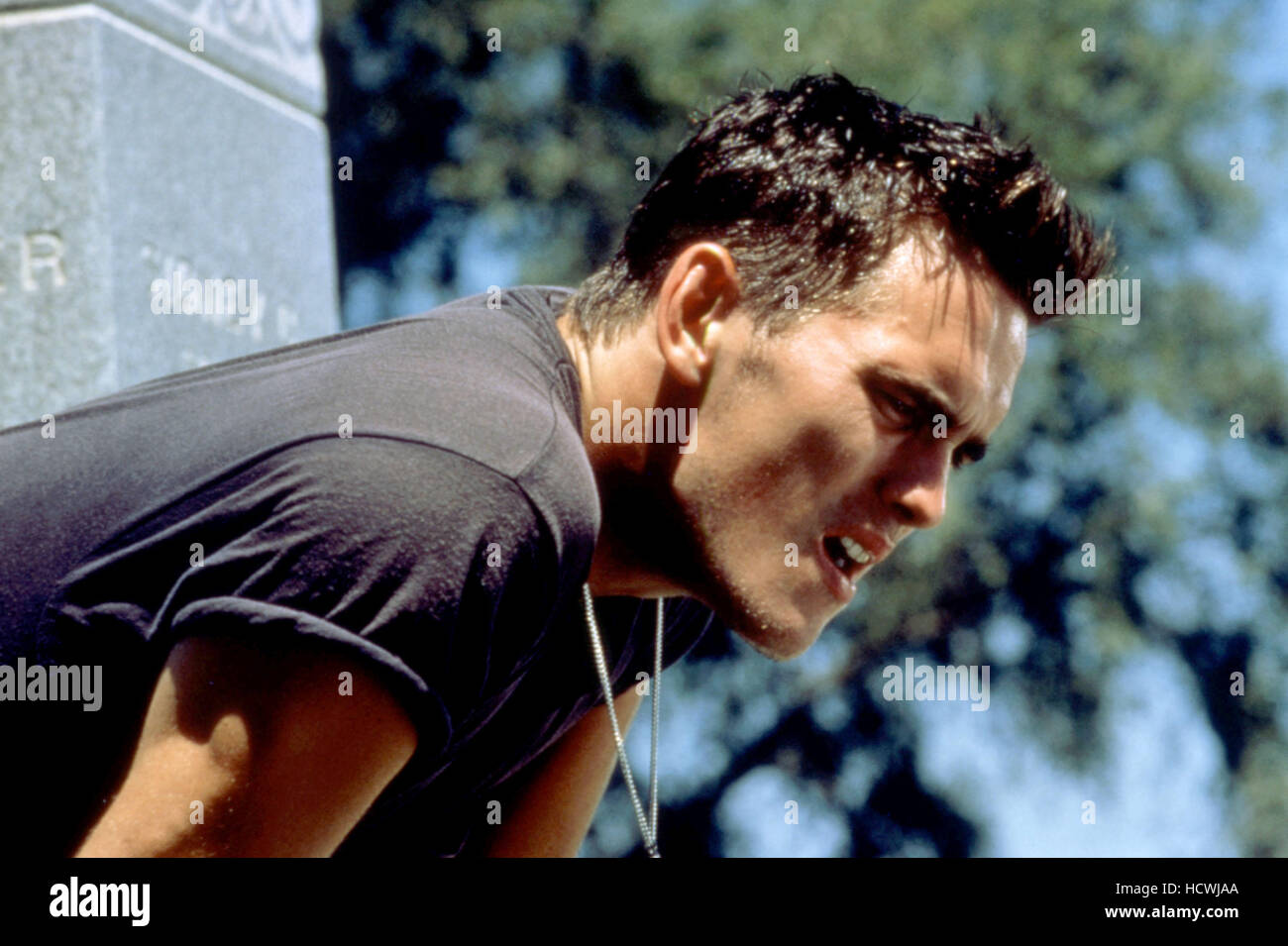 KANSAS, Matt Dillon, 1988, (c)TransWorld Entertainment/courtesy Everett ...