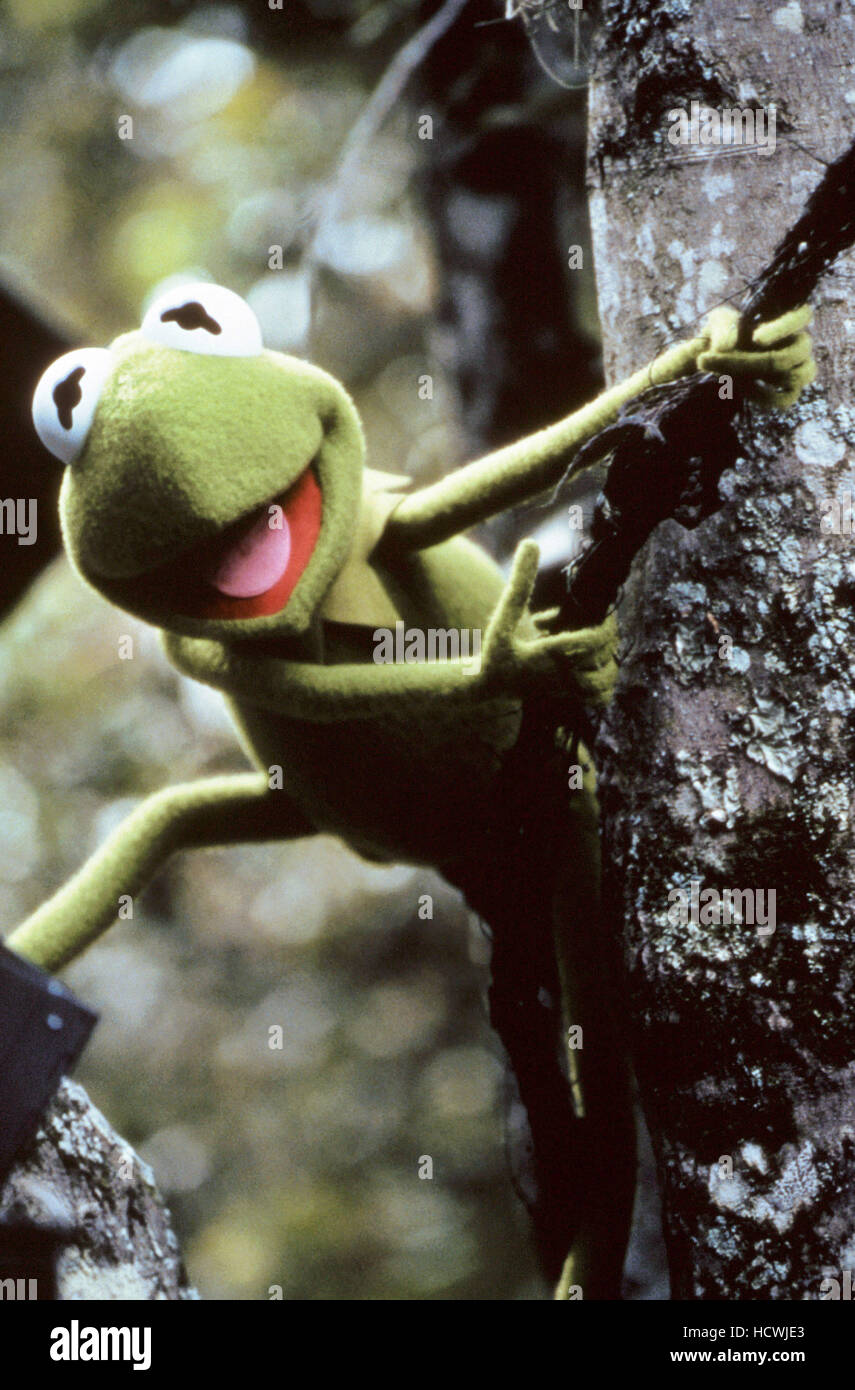 KERMIT'S SWAMP YEARS, (from left): Kermit the Frog, 2002. © Columbia ...