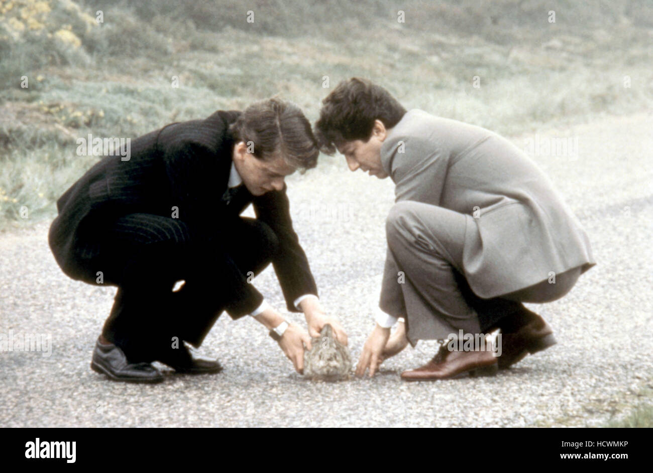 LOCAL HERO, Peter Capaldi, Peter Riegert, 1983, (c)Warner Bros ...