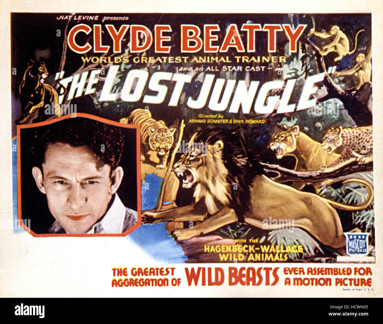 LOST JUNGLE, THE, Clyde Beatty, 1934 Stock Photo - Alamy