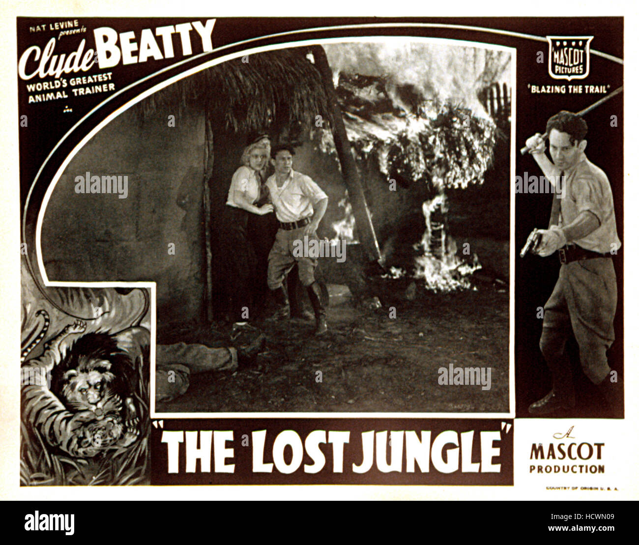 LOST JUNGLE, THE, Cecilia Parker, Clyde Beatty, 1934 Stock Photo - Alamy
