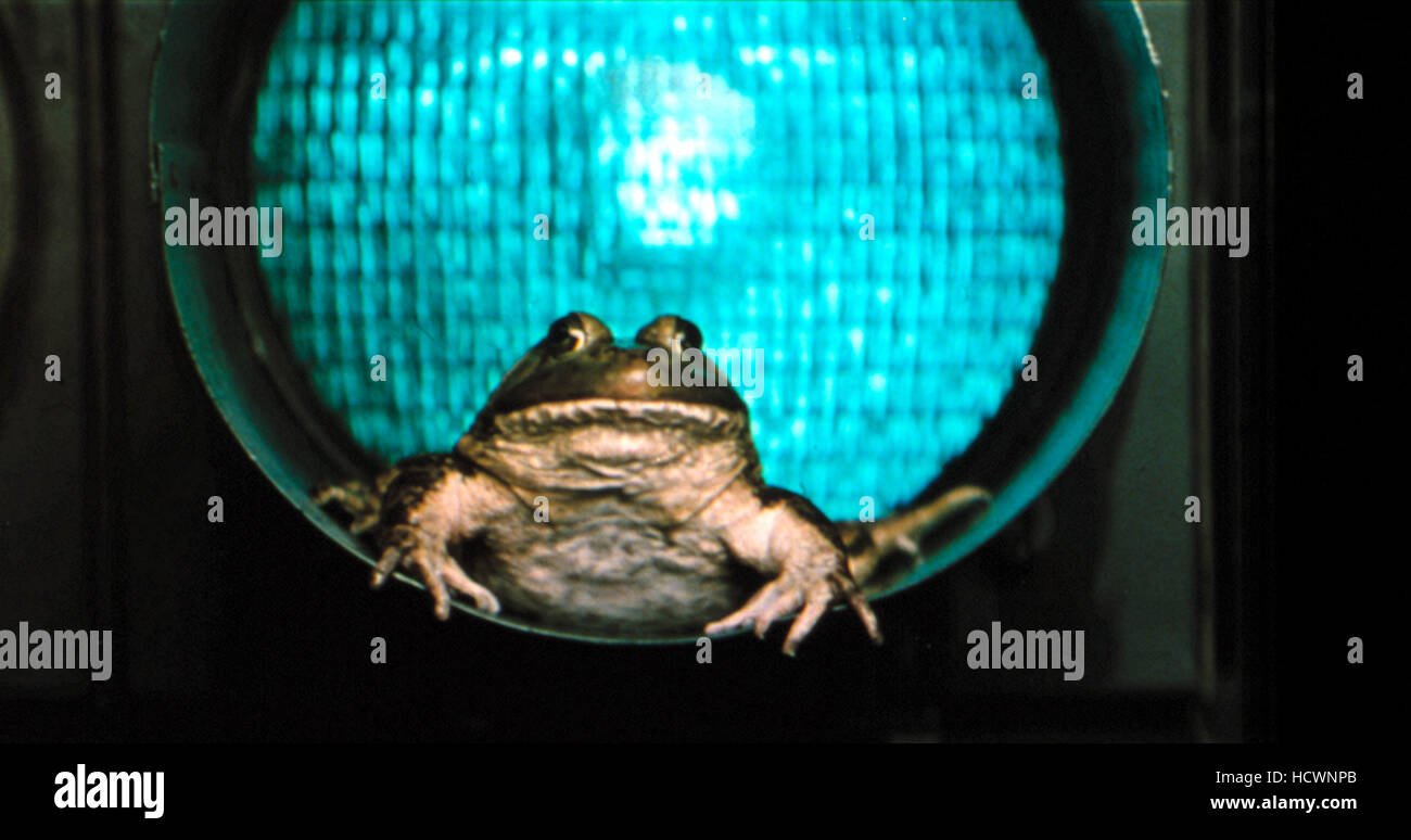 MAGNOLIA, plague of frogs, 1999 Stock Photo - Alamy
