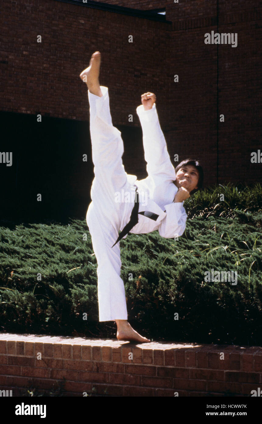 MIAMI CONNECTION, Y.K. Kim, 1987. © Drafthouse Films/ Courtesy: Everett ...