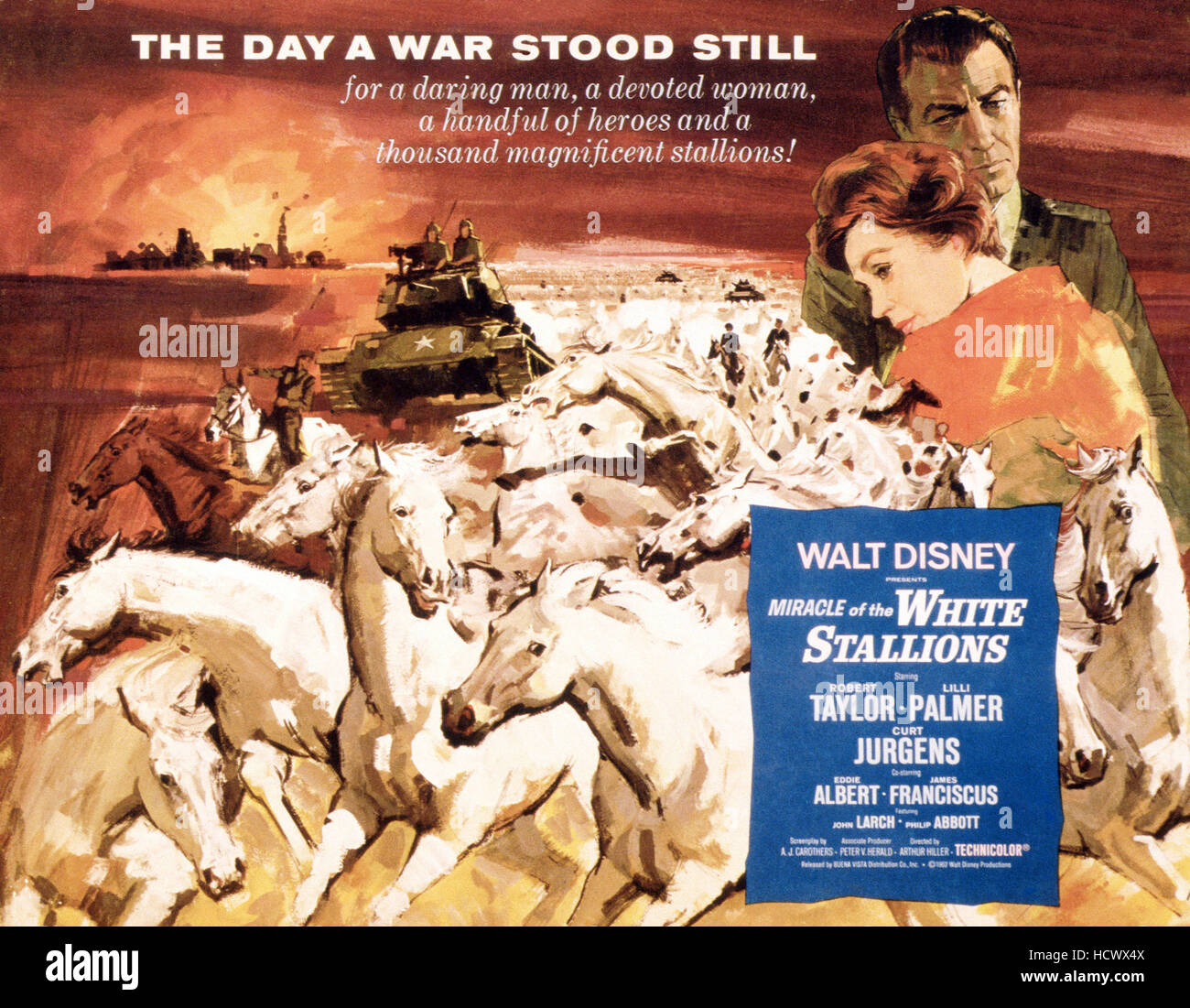 1963 Miracle of the White Stallions Window Card Movie Poster 14x22 ...