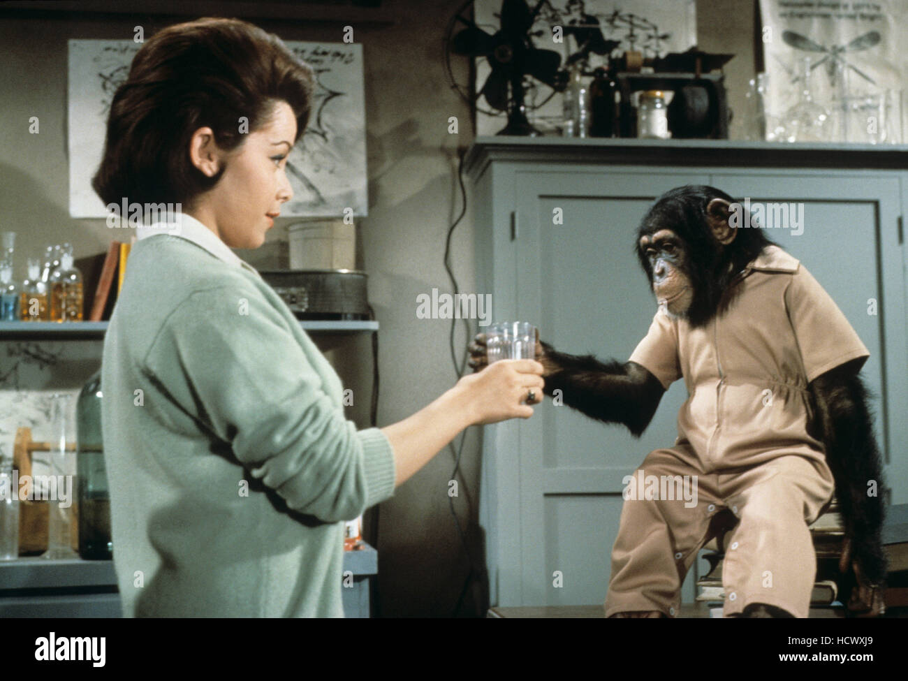 THE MONKEY'S UNCLE, Annette Funicello, 1965 Stock Photo - Alamy