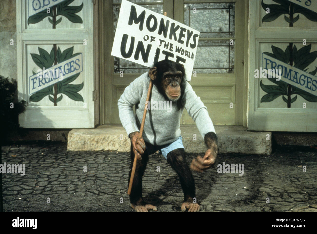 THE MONKEY'S UNCLE, 1965 Stock Photo - Alamy