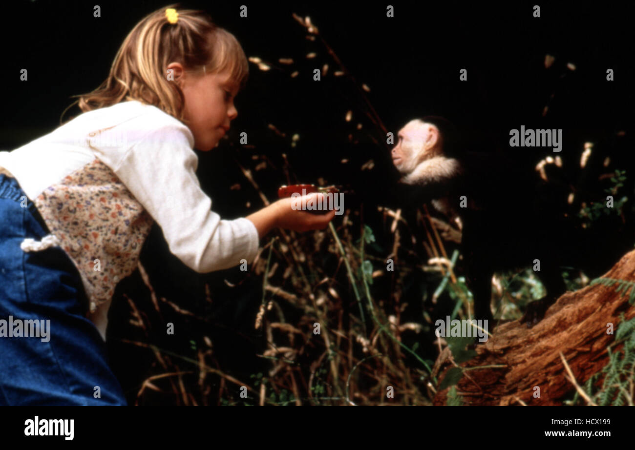 OUTBREAK, 1995, (c)Warner Bros./courtesy Everett Collection Stock Photo ...