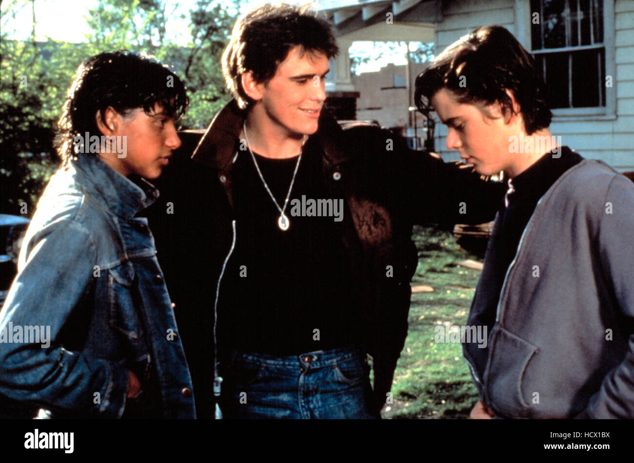 OUTSIDERS, THE, Ralph Macchio, Matt Dillon, C. Thomas Howell, 1983 ...
