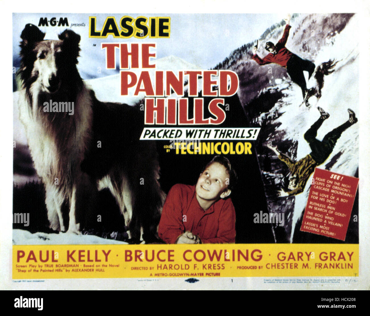 THE PAINTED HILLS, Lassie, Gary Gray, 1951 Stock Photo - Alamy