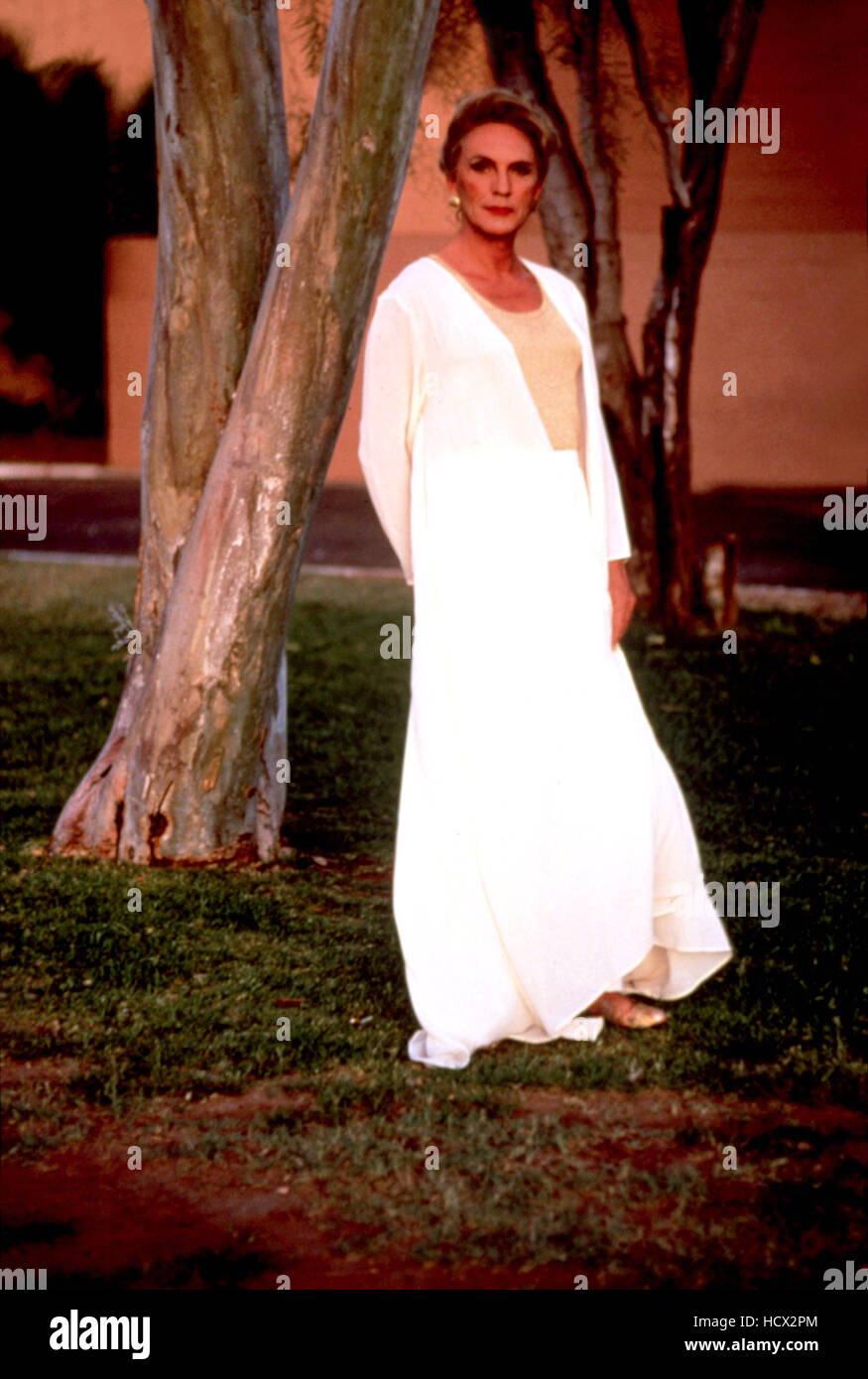 ADVENTURES OF PRISCILLA QUEEN OF THE DESERT, Terence Stamp, 1994 Stock ...