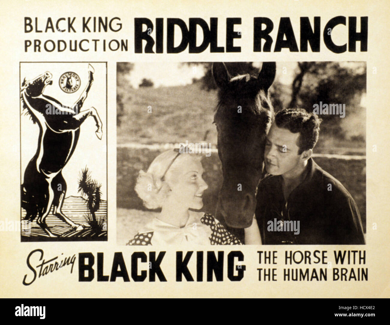 RIDDLE RANCH, l-r: June Marlowe, Black King, David Worth on lobbycard ...