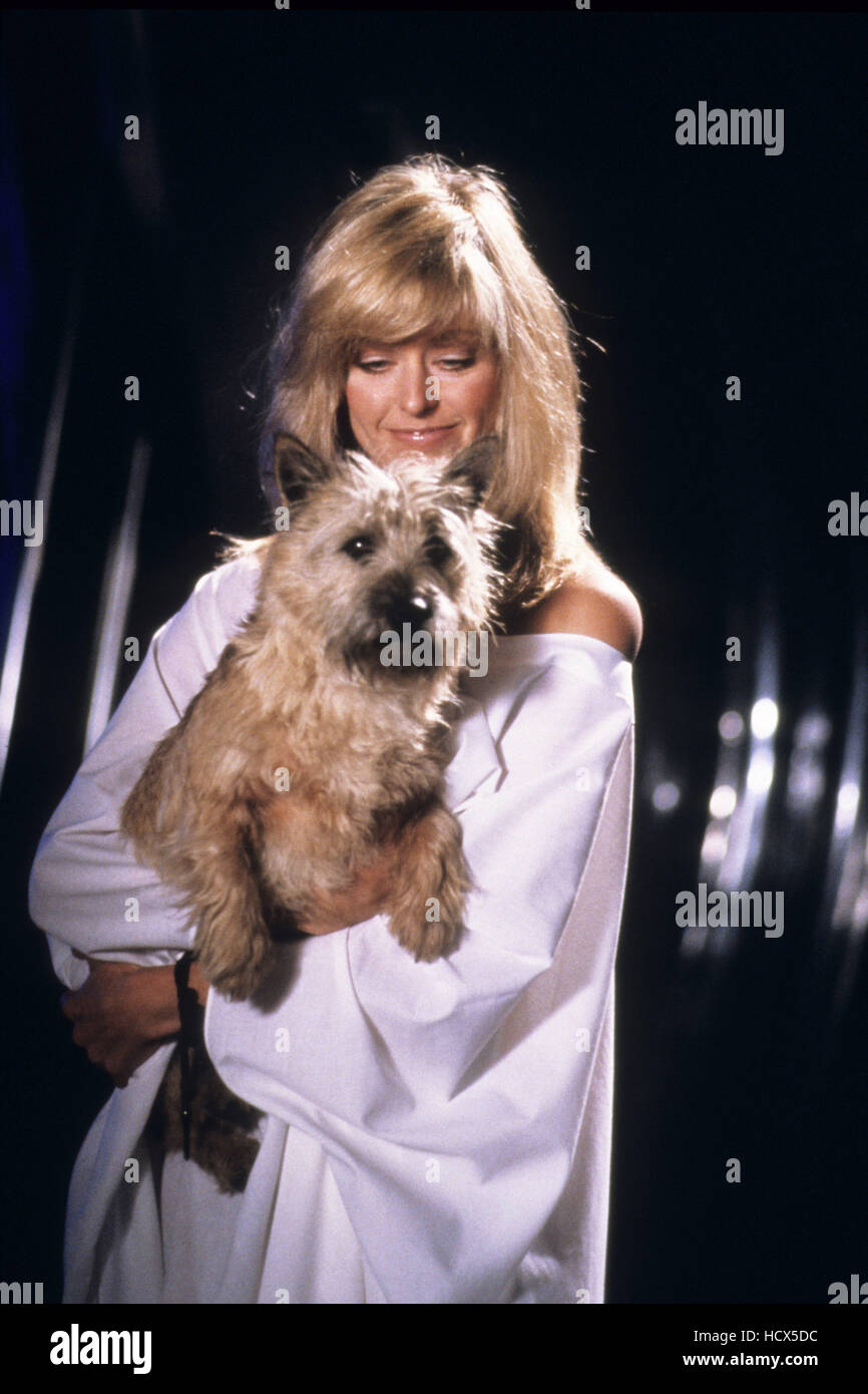 SATURN 3, Farrah Fawcett, 1980, © AFD/courtesy Everett Collection Stock ...