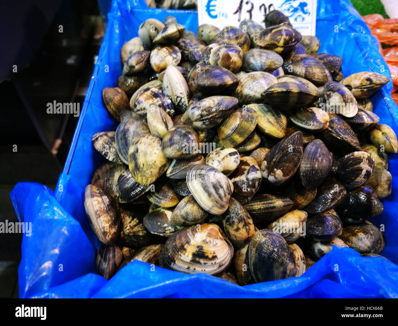 Clams on display Stock Photo - Alamy