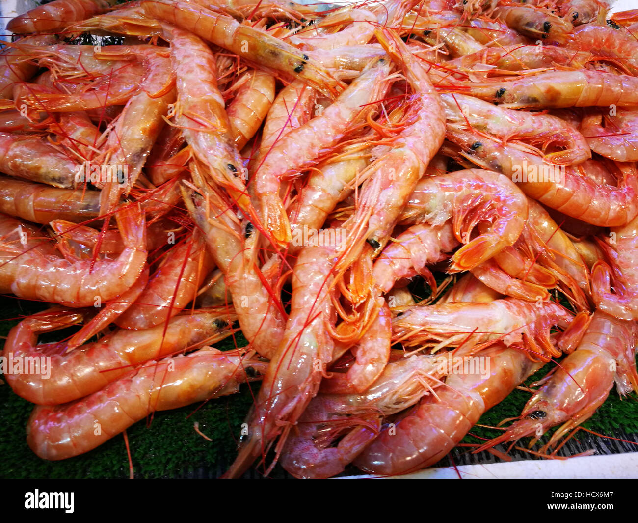 Shrimp in fish market Stock Photo - Alamy