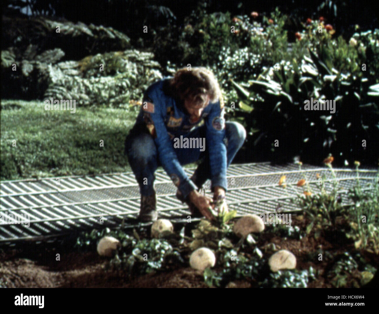 SILENT RUNNING, Bruce Dern, 1972 Stock Photo - Alamy