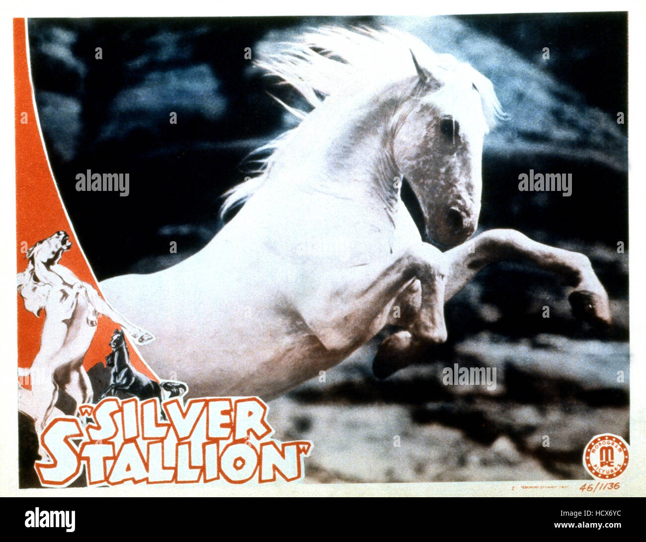 SILVER STALLION, Thunder the Horse, 1941 Stock Photo - Alamy