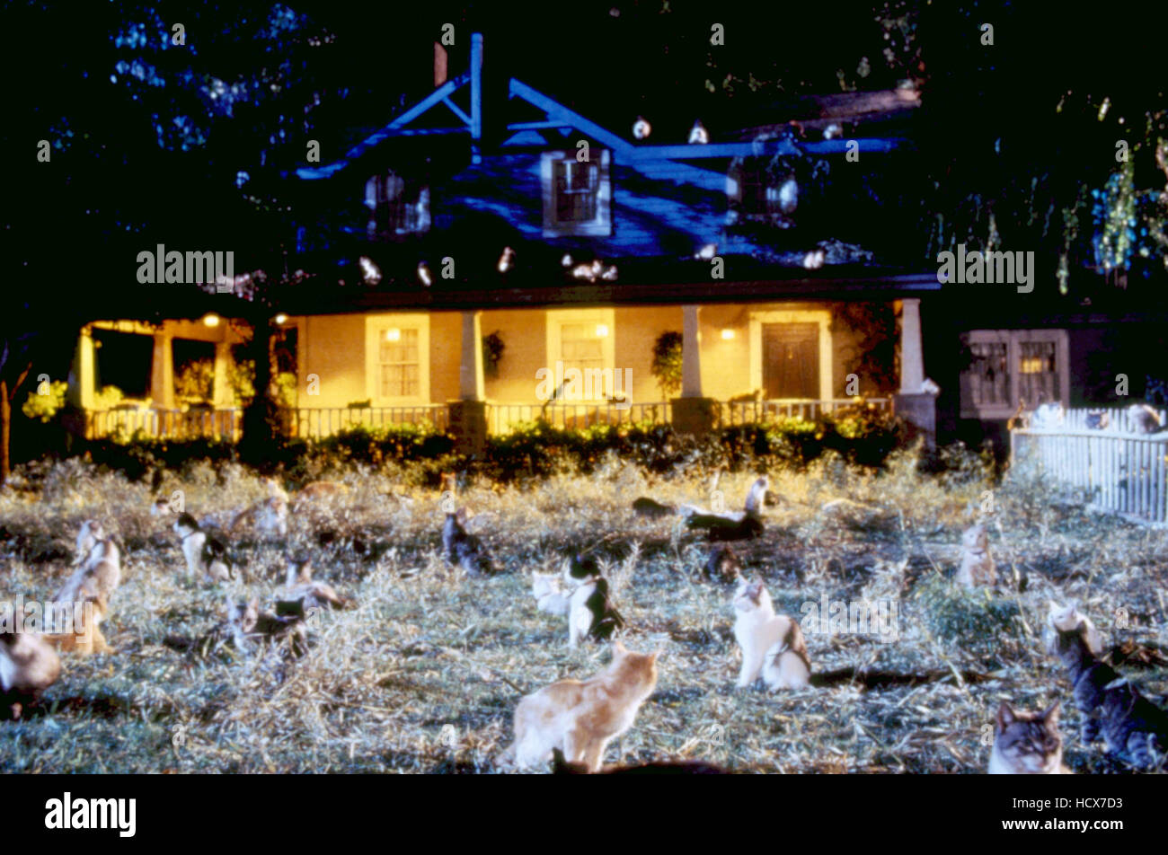 SLEEPWALKERS, 1992. ©Columbia Pictures/Courtesy Everett Collection ...