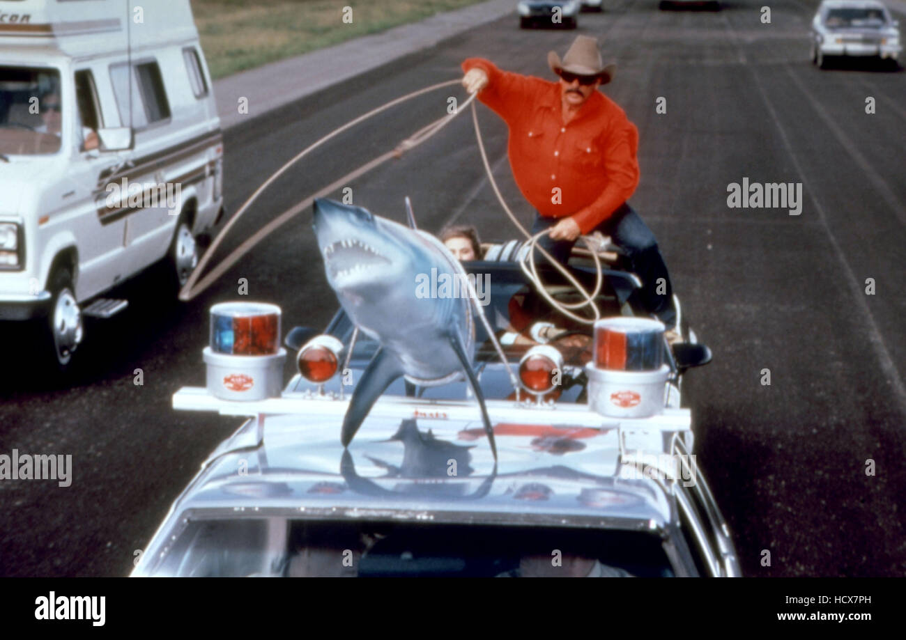 SMOKEY AND THE BANDIT PART 3, Colleen Camp (l.), Jerry Reed (r.), 1983 ...