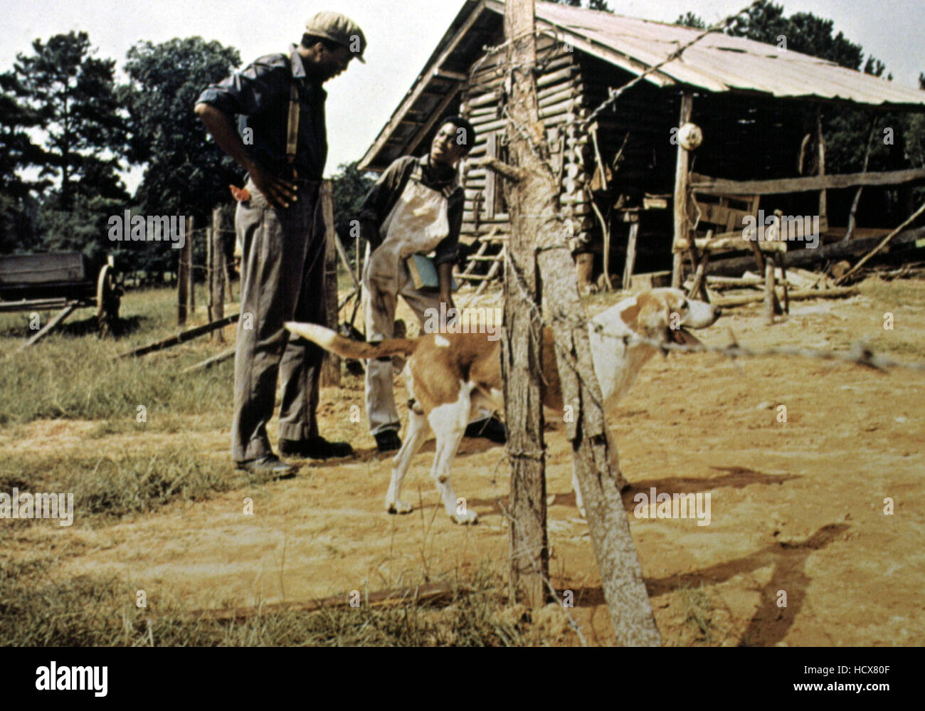 SOUNDER, Paul Winfield, Kevin Hooks, 1972 Stock Photo - Alamy