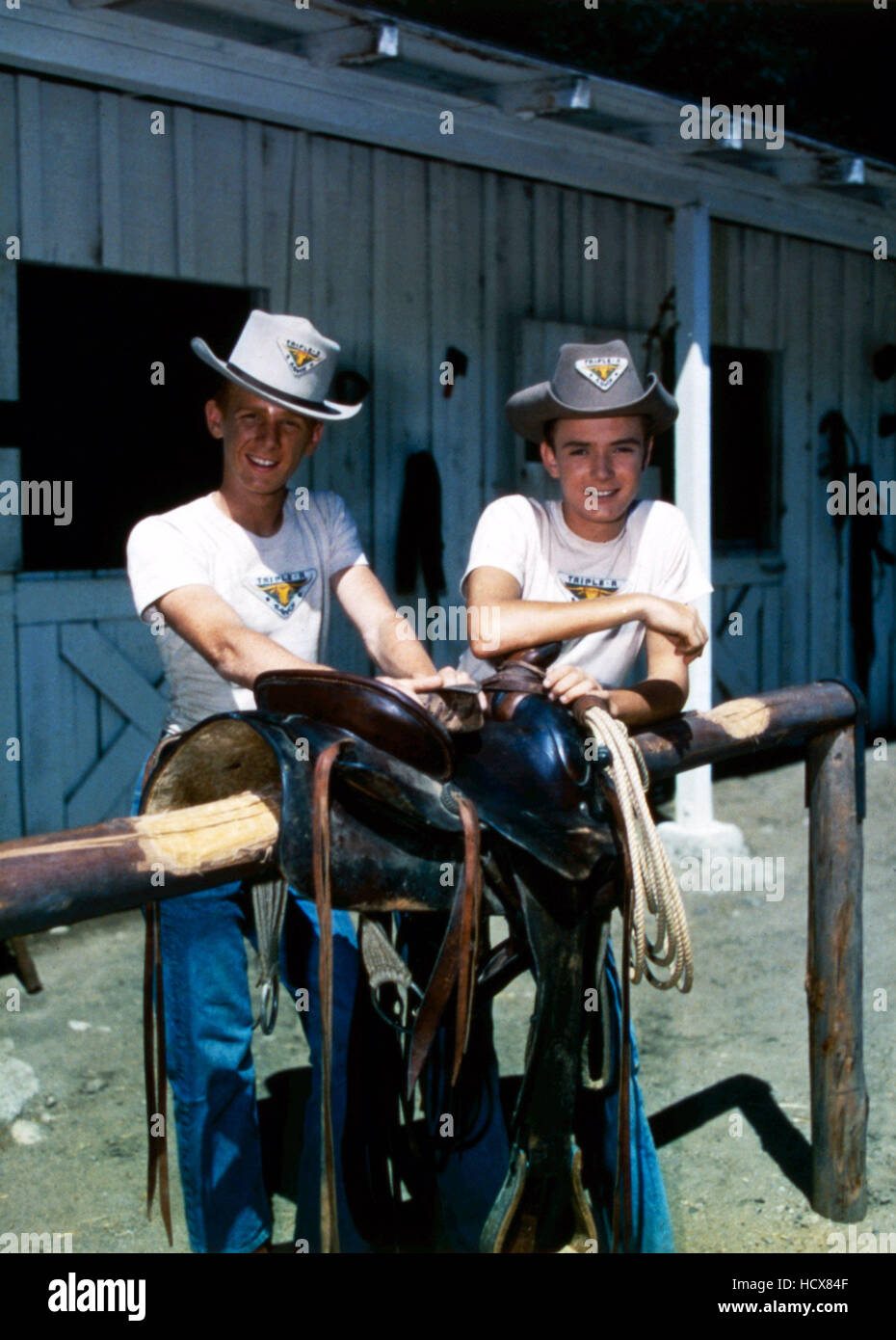 SPIN AND MARTY: THE MOVIE, David Stollery, Tim Considine, 1955 Stock ...