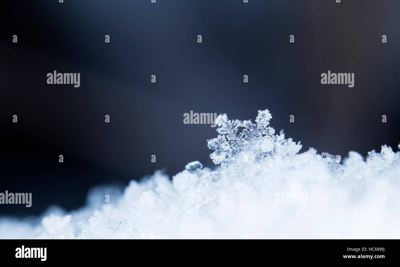 natural snowflakes on snow Stock Photo - Alamy