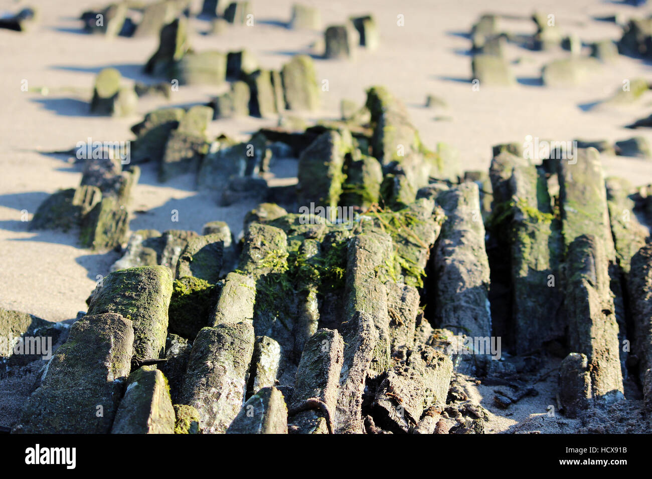 ancient historic wooden platform on the bank of the Northern Dvina ...
