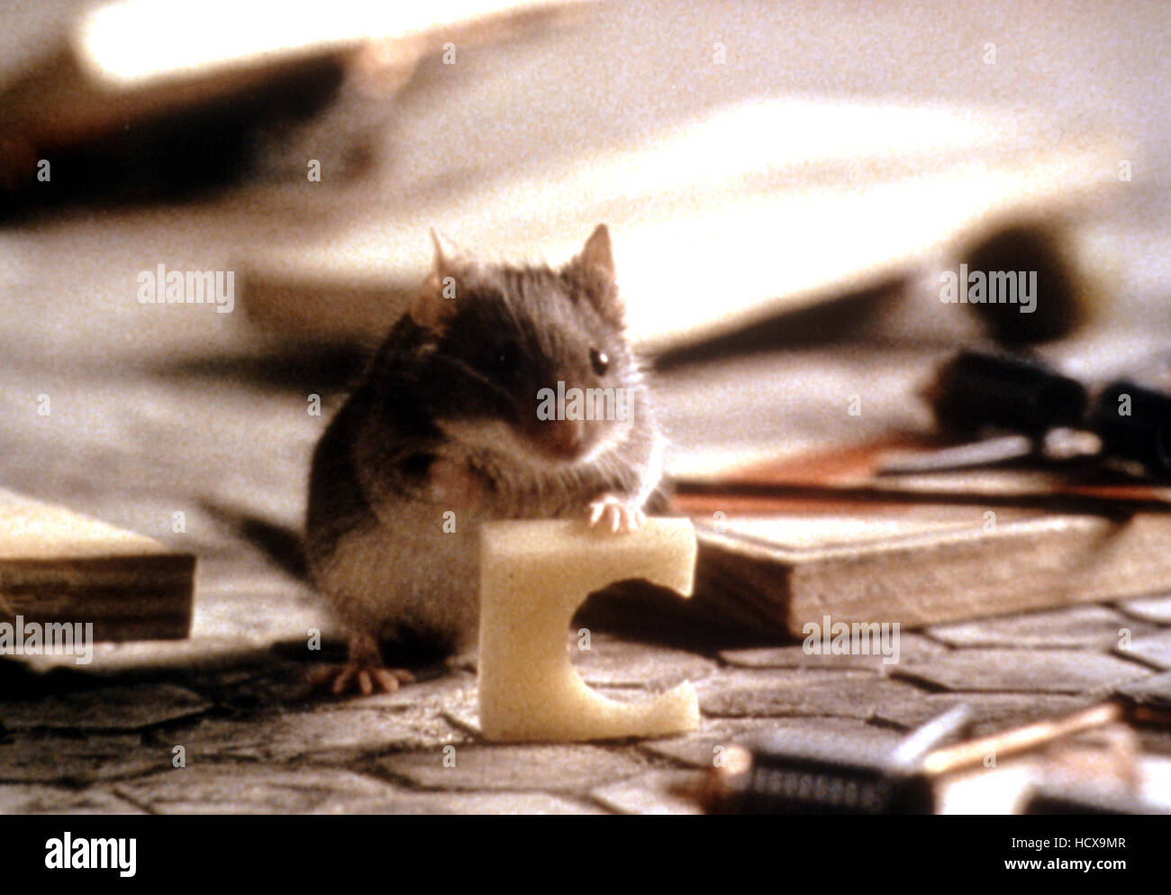 MOUSE HUNT, 1997, (c)DreamWorks/courtesy Everett Collection Stock Photo ...